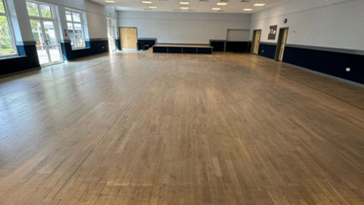 Floor Sanding For Basements: Moisture And Mold Issues | Mr Sander®