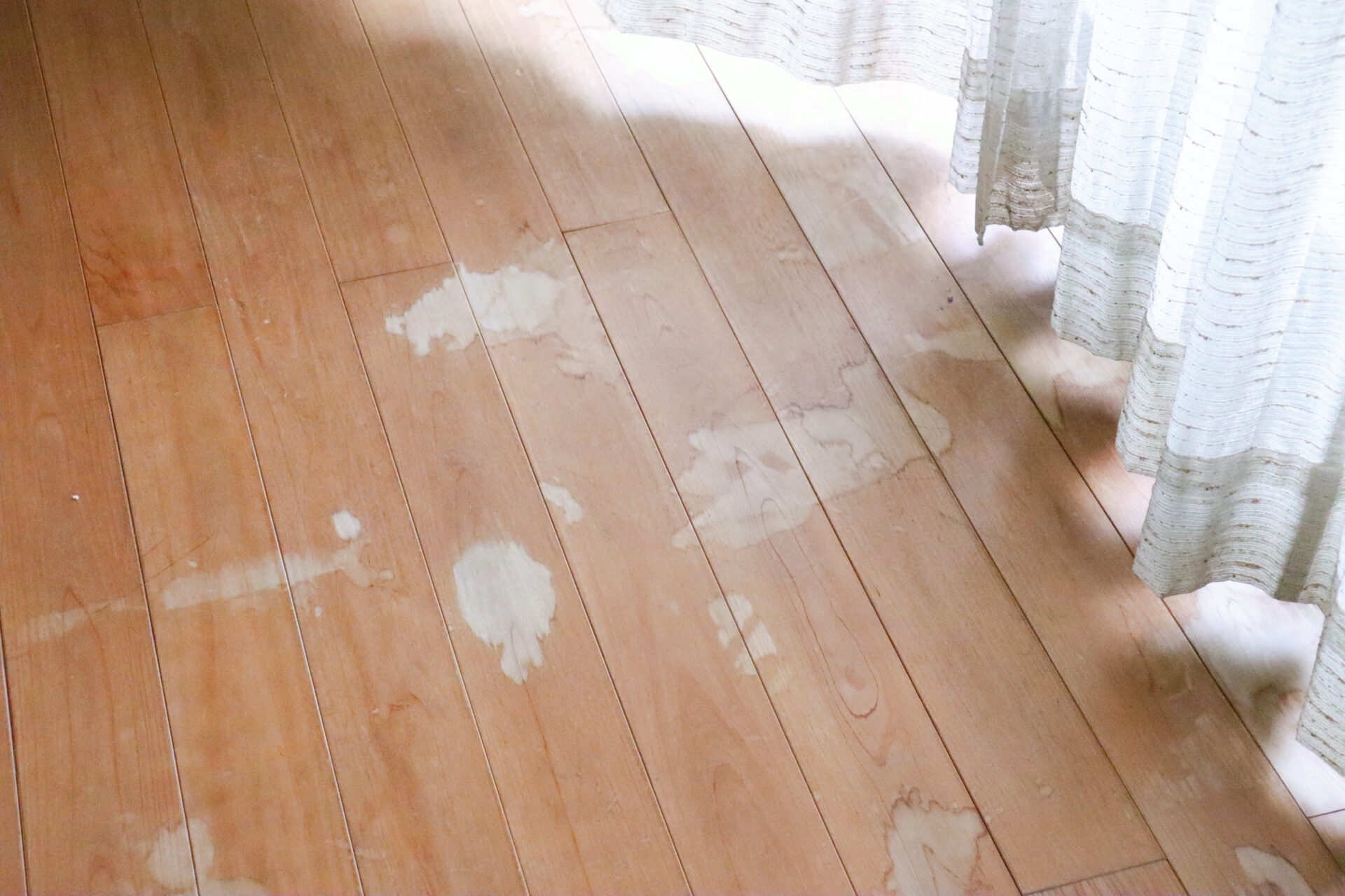 The 5-Minute Spill Test: Is Your Sealer Still Working? | Mr Sander®